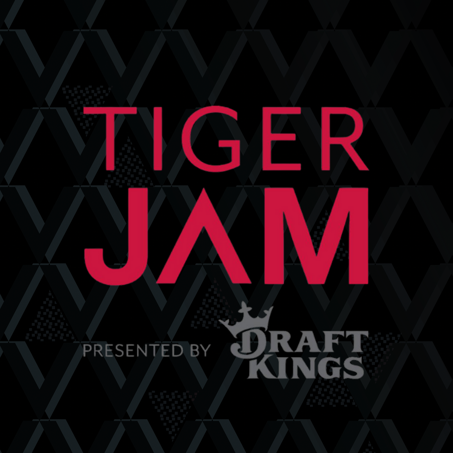 Sponsors - Tiger Jam