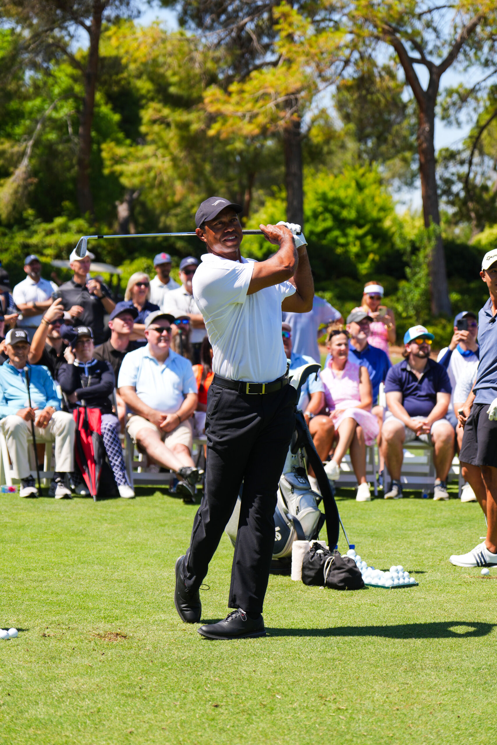 A weekend to remember - Tiger Jam